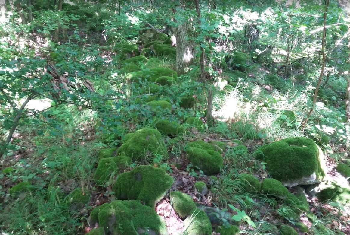 Tajomný Val obrov v Nitrianskom kraji je málo známy turistom, volajú ho ...