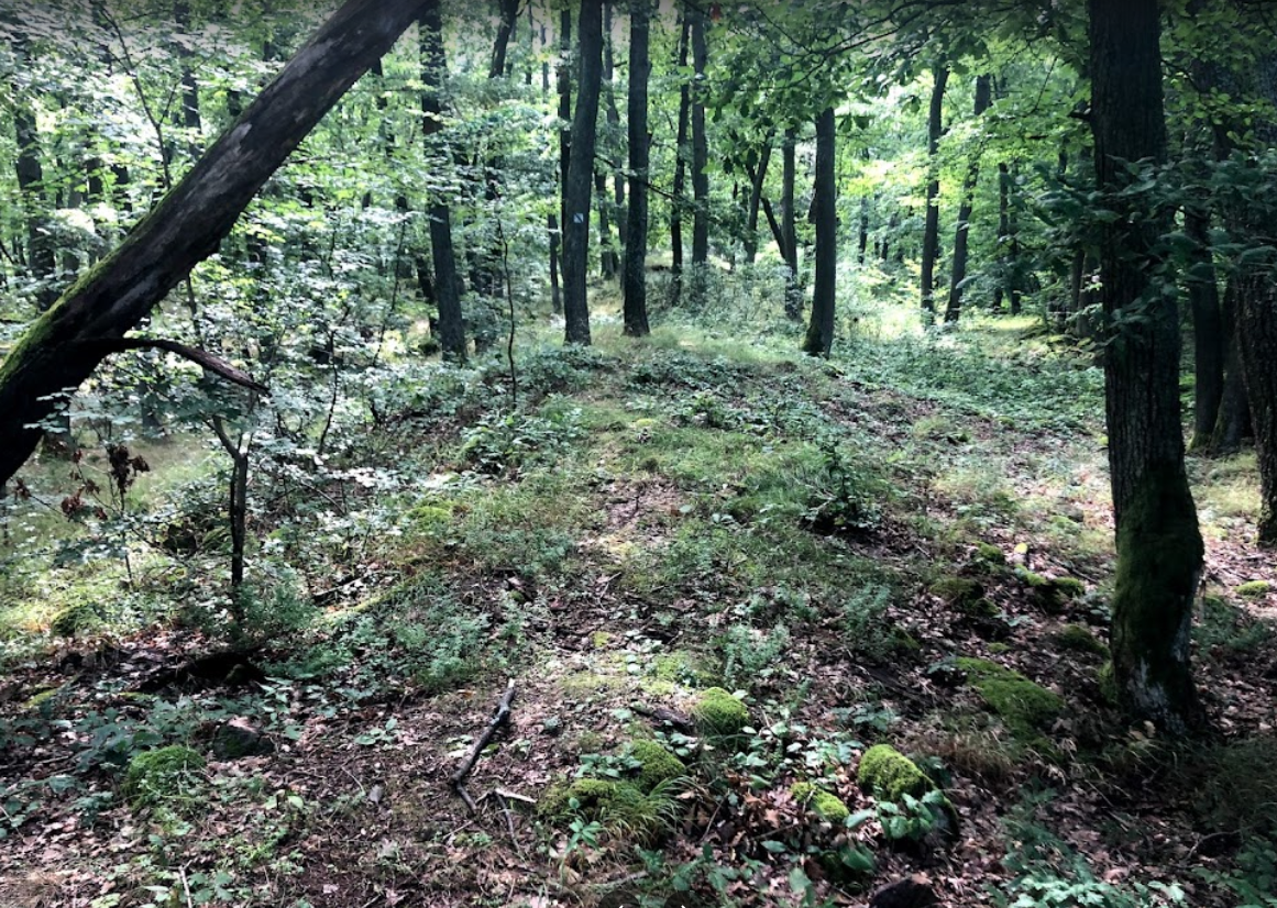 Tajomný Val obrov v Nitrianskom kraji je málo známy turistom, volajú ho ...