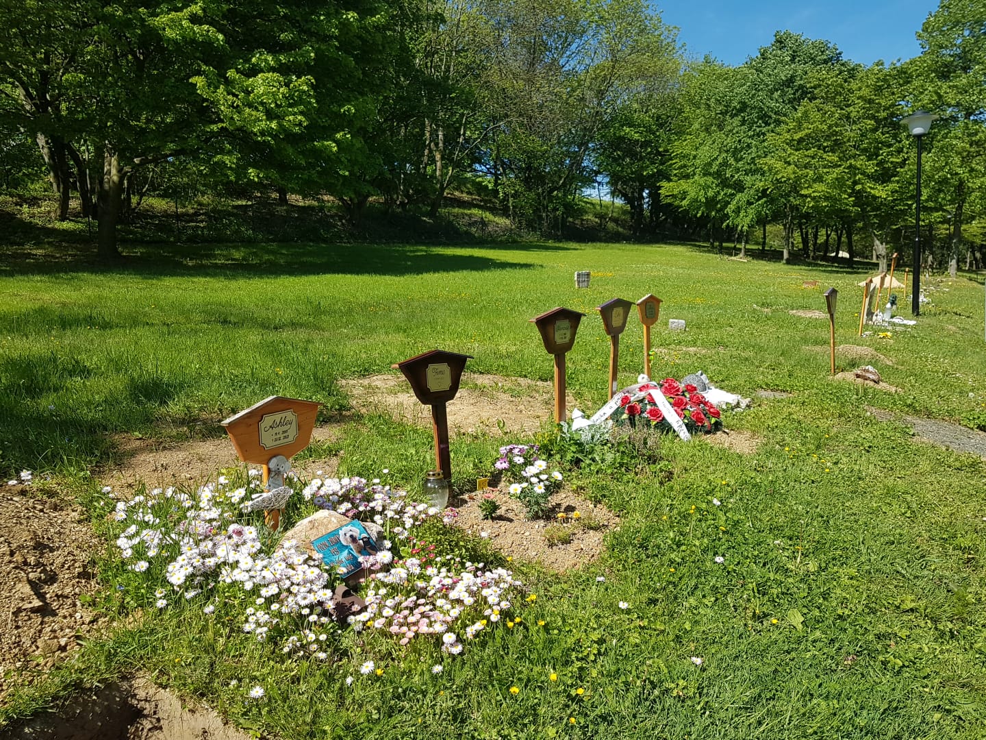 Kde sa dá pochovať váš domáci miláčik? V Nitrianskom kraji funguje ...