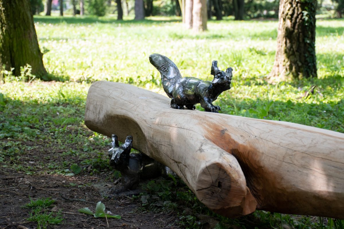 Veverice mestsky park sihot.jpg - NitraDeň.sk