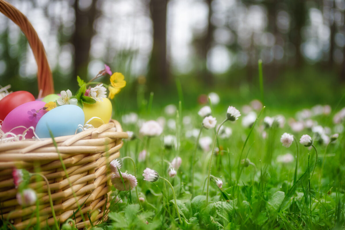 Meteorológovia predpovedajú. Veľká noc 2025 prinesie teplo aj sucho, jar sa hlási o slovo