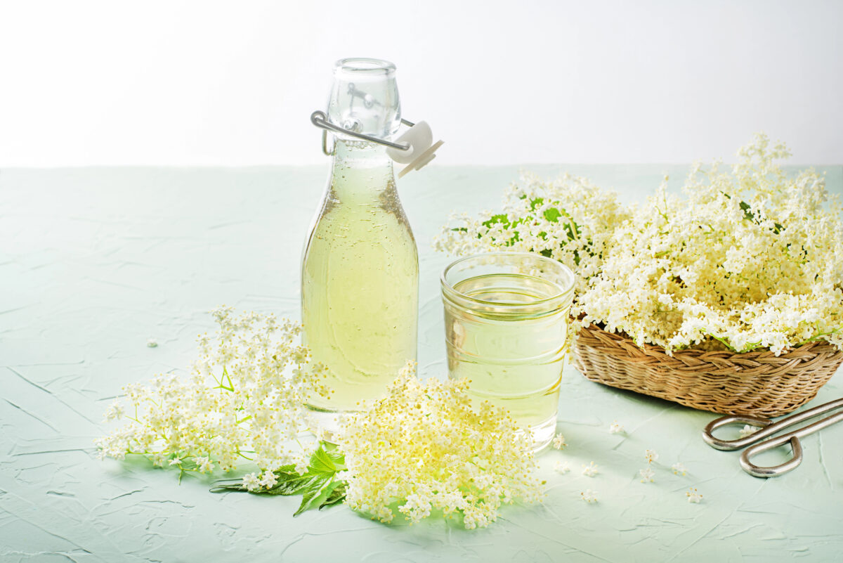 Ingrediencie na bazový sirup sú teraz všade. Pripravte si ho doma, chuť ...