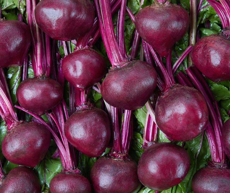 CVIKLA - Mňamky-Recepty.sk