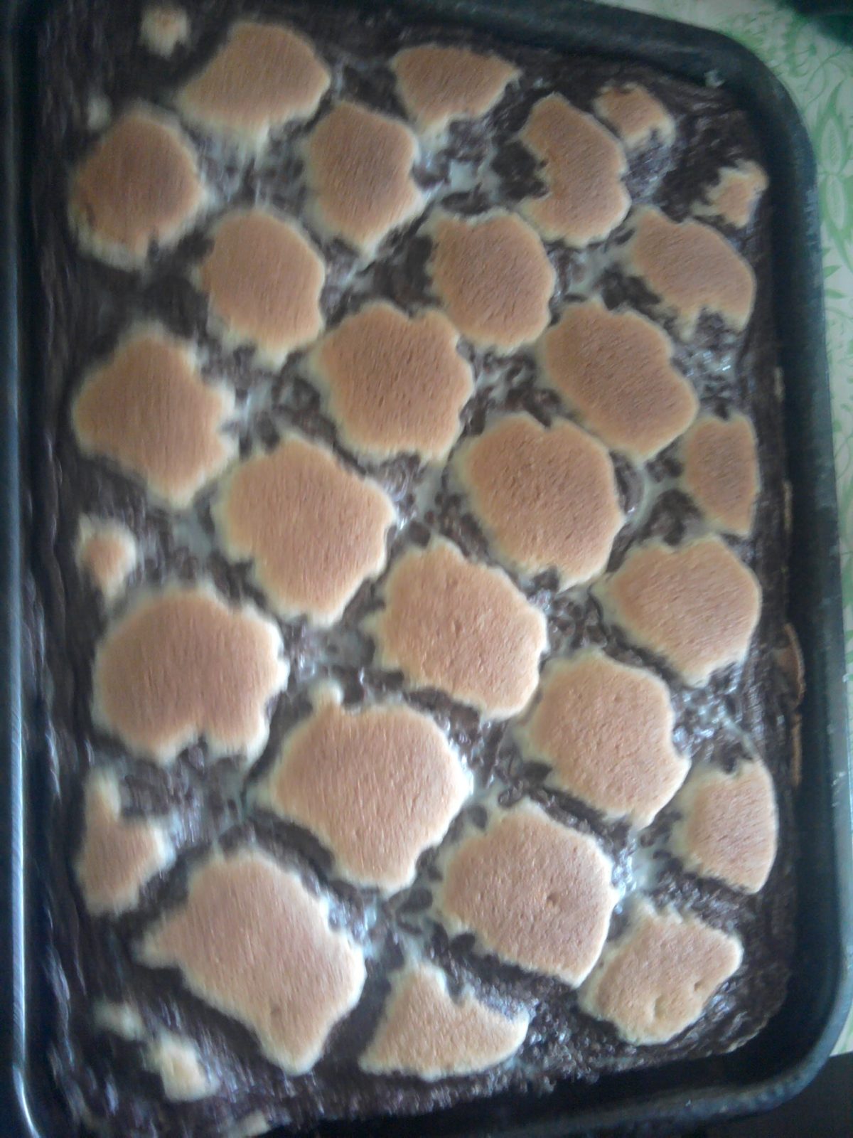 Tvarohový koláč-DIA - Mňamky-Recepty.sk