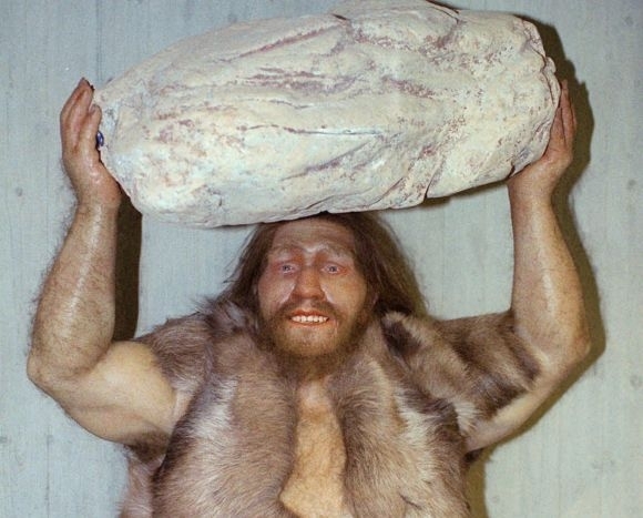 Domácnosti neandertálcov boli vysoko organizované - SITA.sk