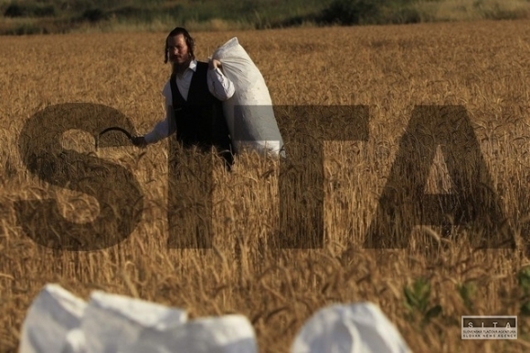 17. mája fotoobjektívom - Fotka 1 z 13 - SITA.sk