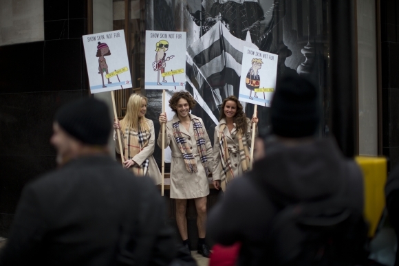 Britské modelky sa postavili za práva zvierat - Fotka 1 z 5 - SITA.sk