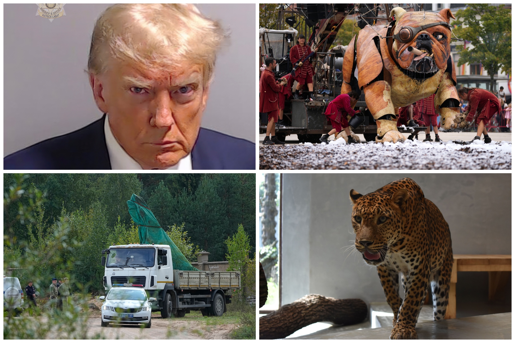 Top foto dňa (25. august 2023): Trump vo väzení, prevoz trosiek ...