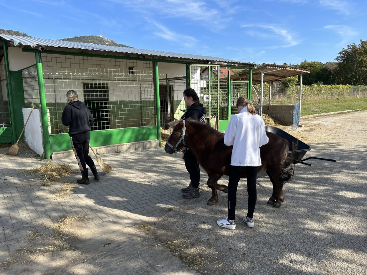 Stredná odborná škola veterinárna v Nitre - SITA.sk