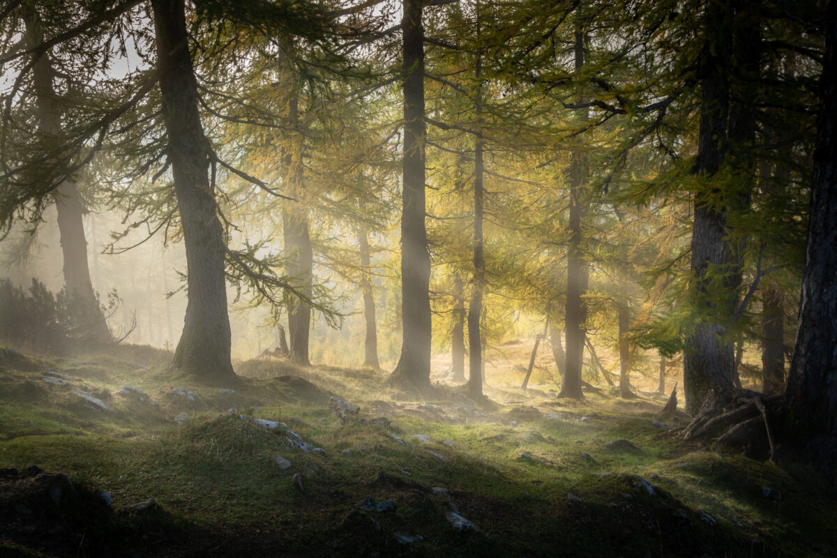 5 záhadných miest na Slovensku: Kamenné gule, zjavenia a klamlivá ...