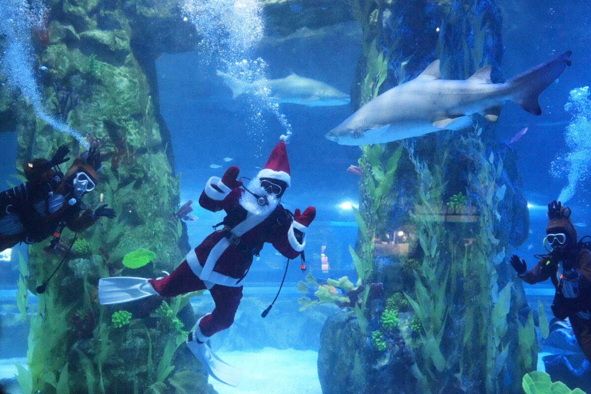 Top foto dňa (16. december 2025): Santa pod vodou, Vianoce v londýnskej ...